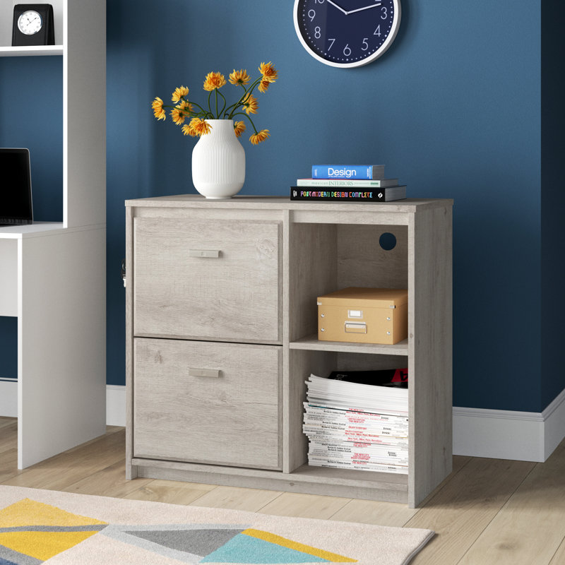 Zipcode Design Bacher 2 Drawer Vertical Filing Cabinet Reviews Wayfair